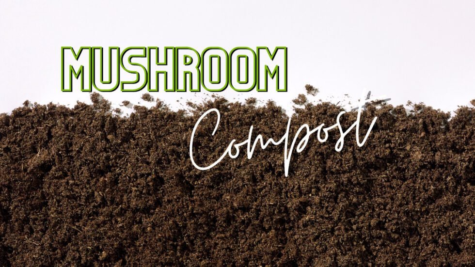 Harnessing The Power Of Mushroom Compost In Your Organic Garden ...